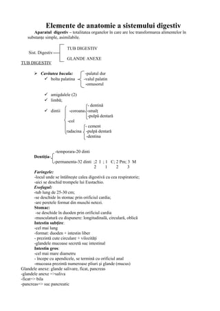 Proiect didactic Stăncescu Adina | DOC