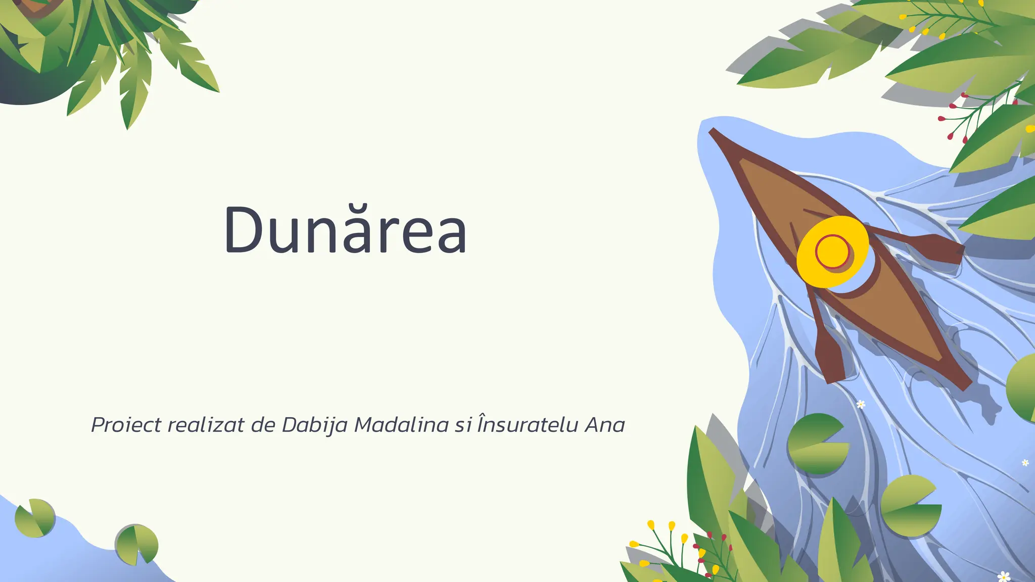 Proiect Dunare Geografie despre Dunare.pdf