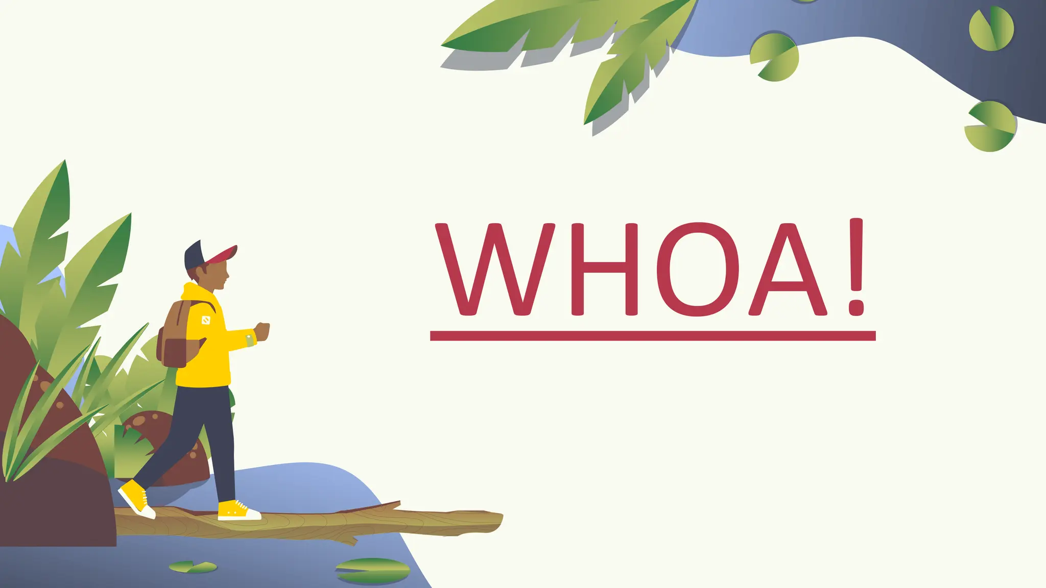 Proiect Dunare Geografie despre Dunare.pdf