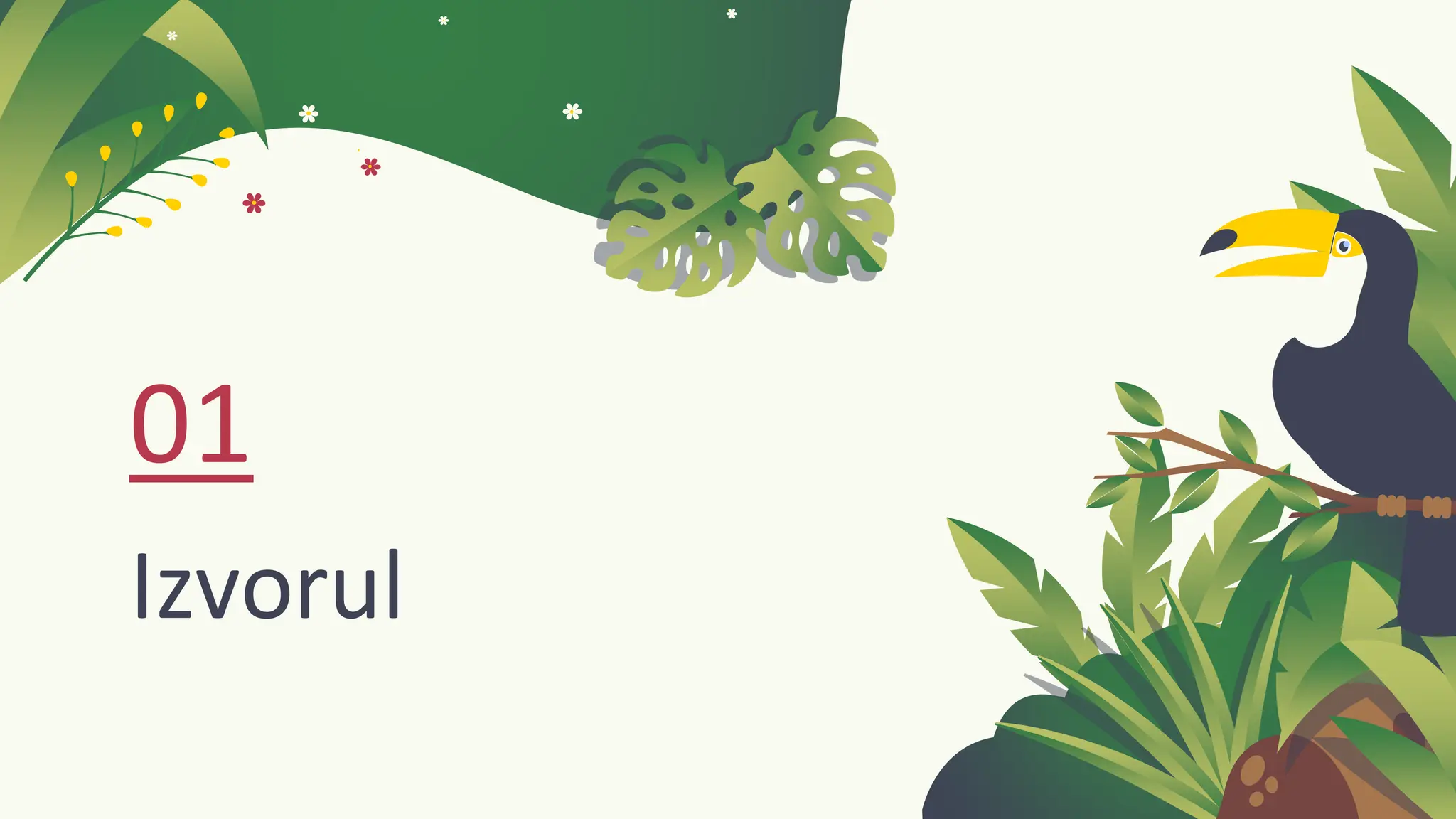 Proiect Dunare Geografie despre Dunare.pdf