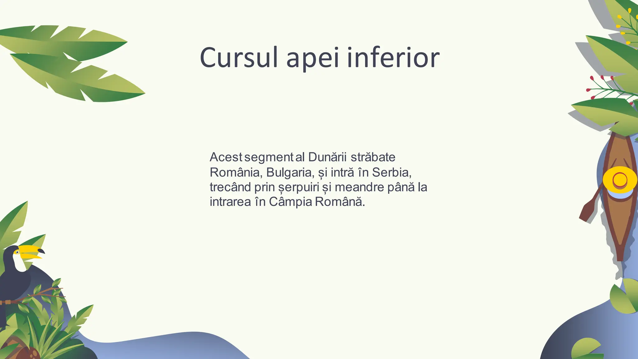 Proiect Dunare Geografie despre Dunare.pdf