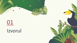 Proiect Dunare Geografie despre Dunare.pdf