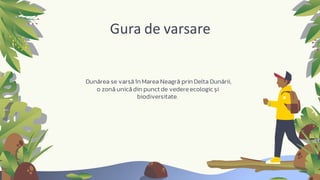 Proiect Dunare Geografie despre Dunare.pdf