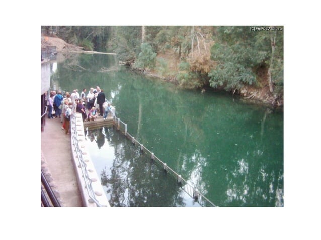 Proiect interdisciplinar EBC | PPT