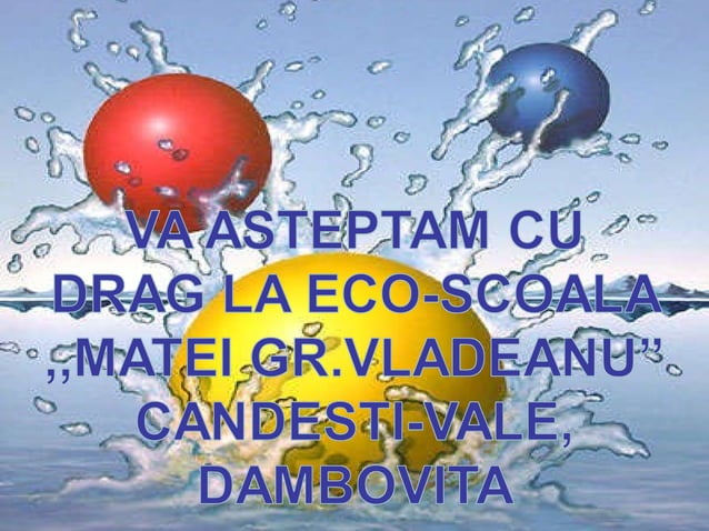 Proiect Eco Scoala | PPT