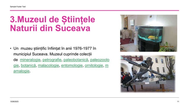 PROIECT EDUCAŢIONAL.pptx