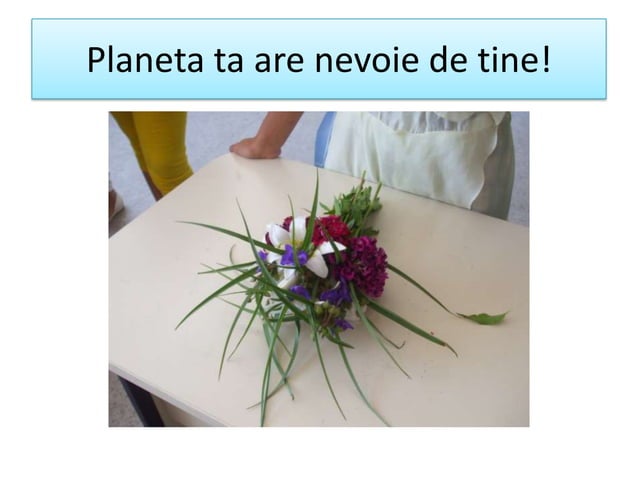 Proiect educational | PPTX