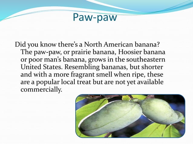 Proiect engleza | PPTX