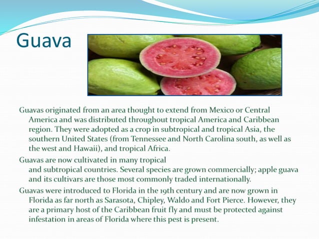 Proiect engleza | PPTX