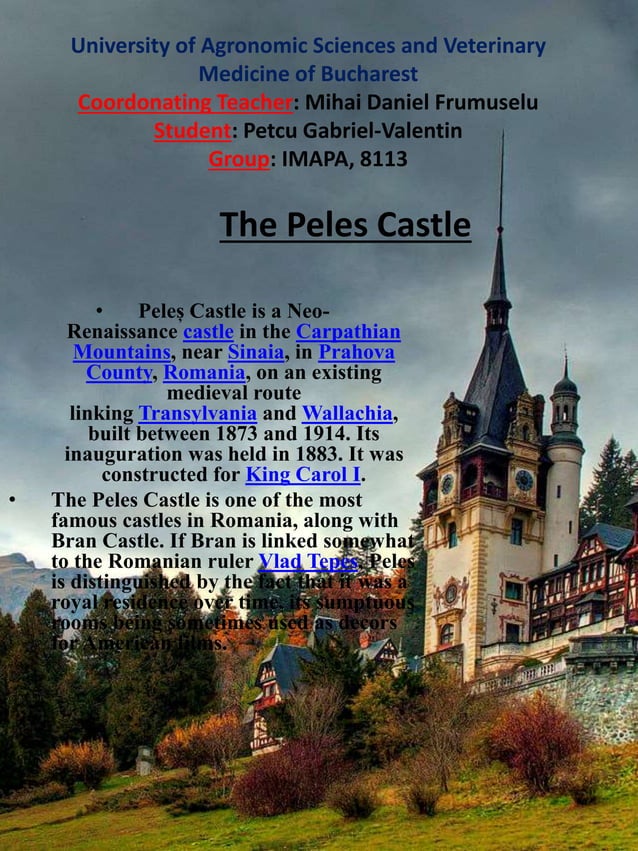 Proiect engleza | PPTX