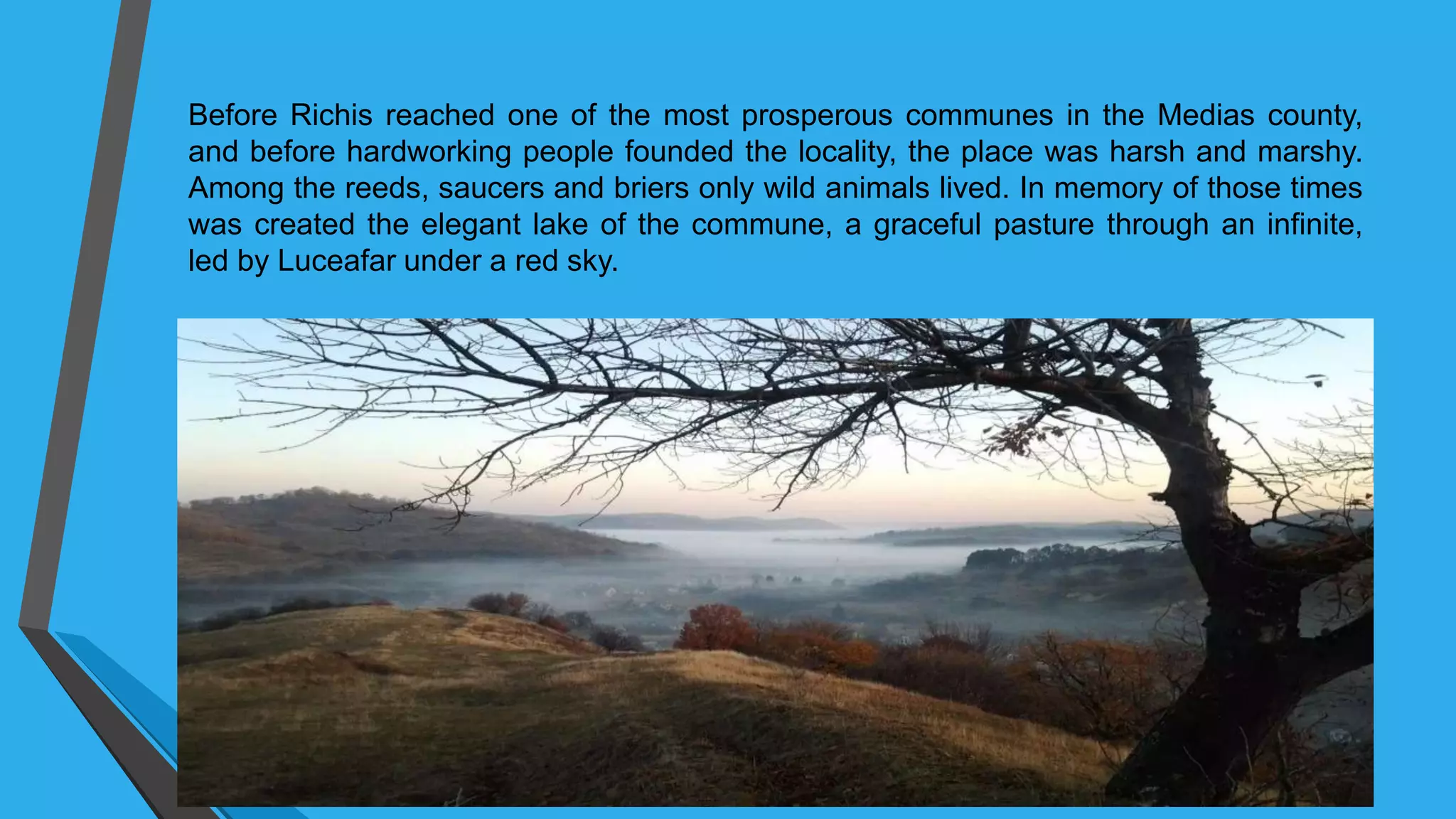 Proiect engleza | PPT