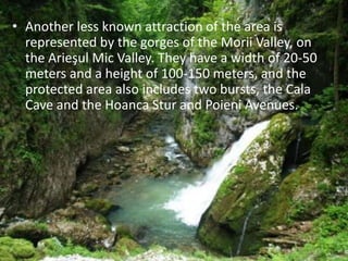 Vidra village in Alba | PPTX | Travel Locations | Travel