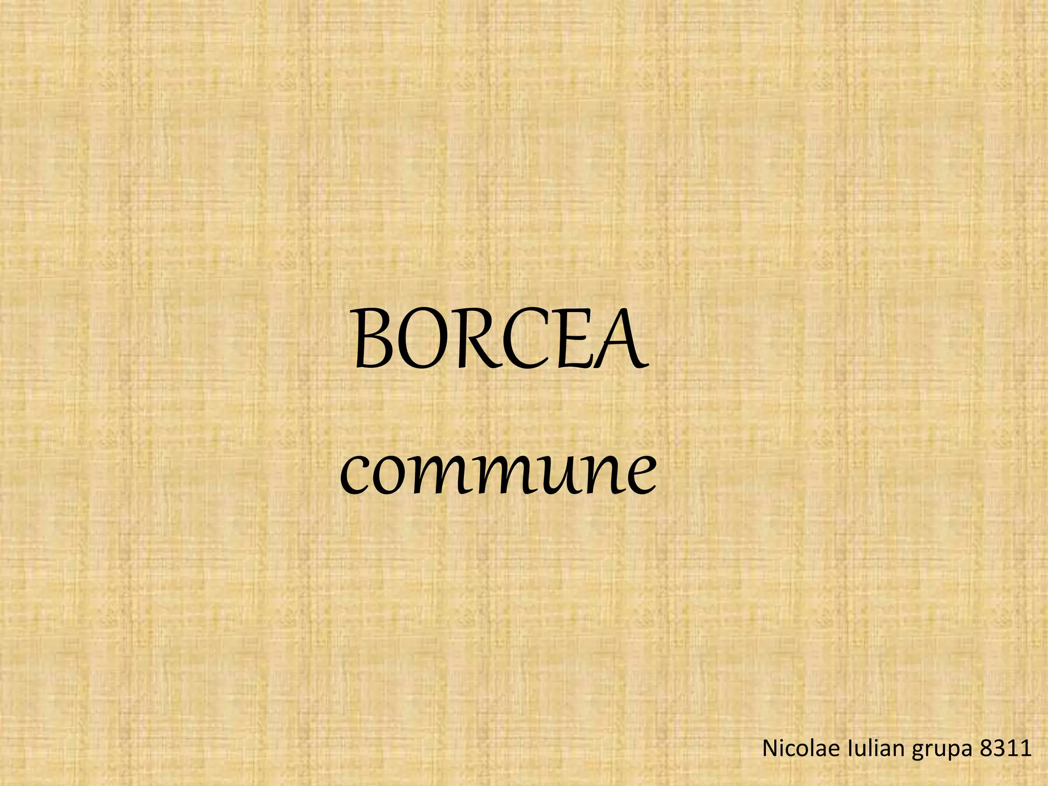 comuna borcea nicolae iulian | PPT