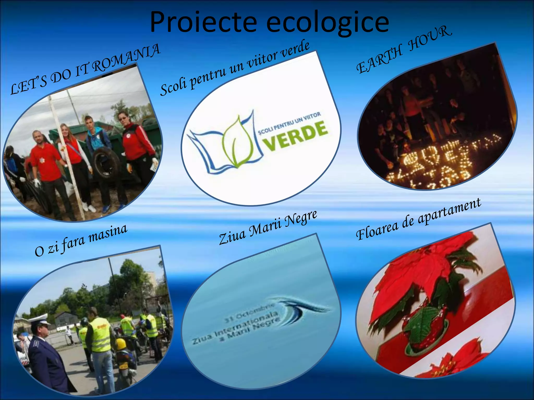 Proiecte si programe educative LTAS | PPT