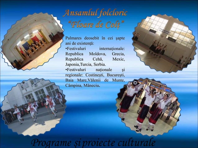 Proiecte si programe educative LTAS | PPT