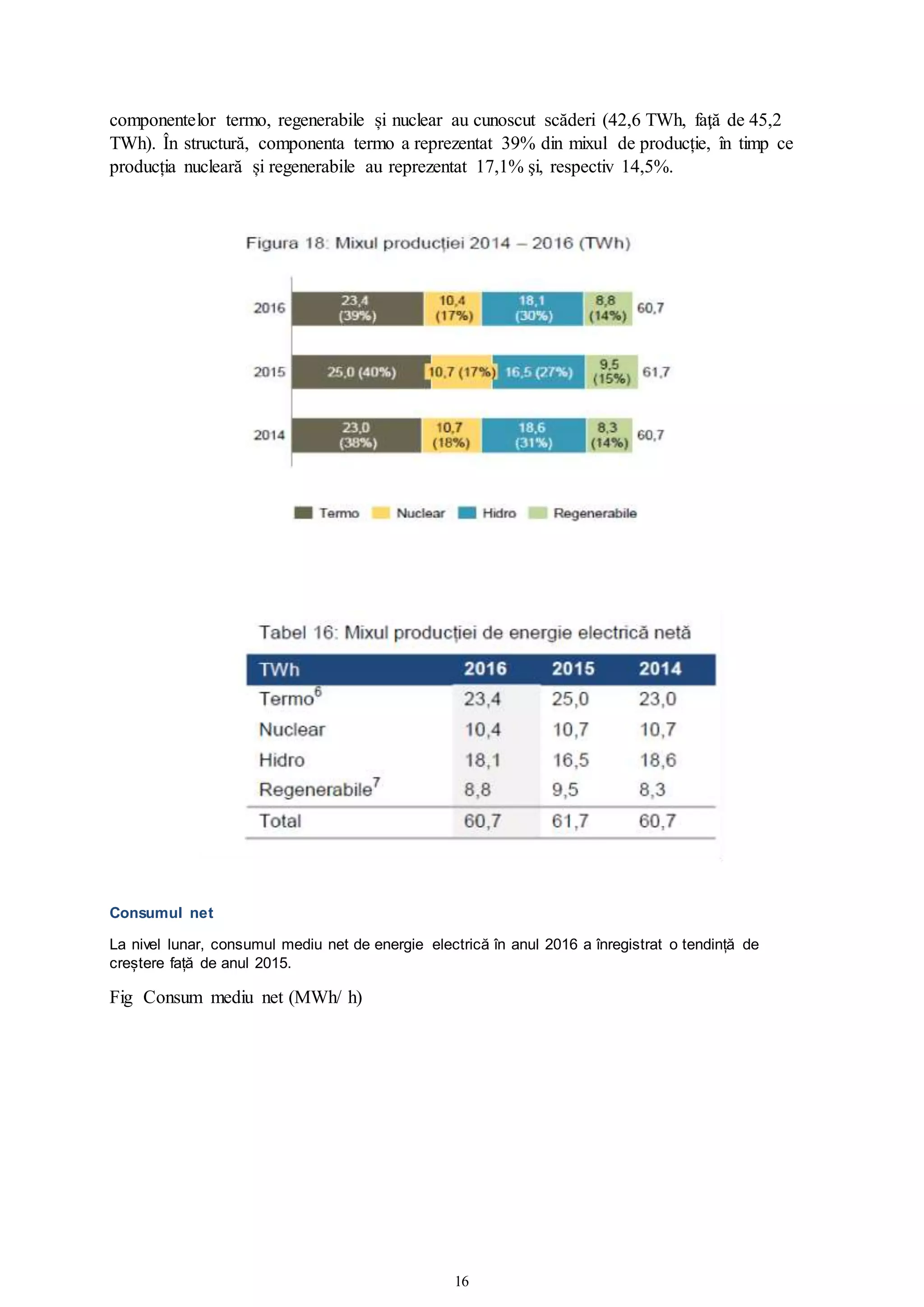Model Raport de Audit / Model Audit Report | DOCX