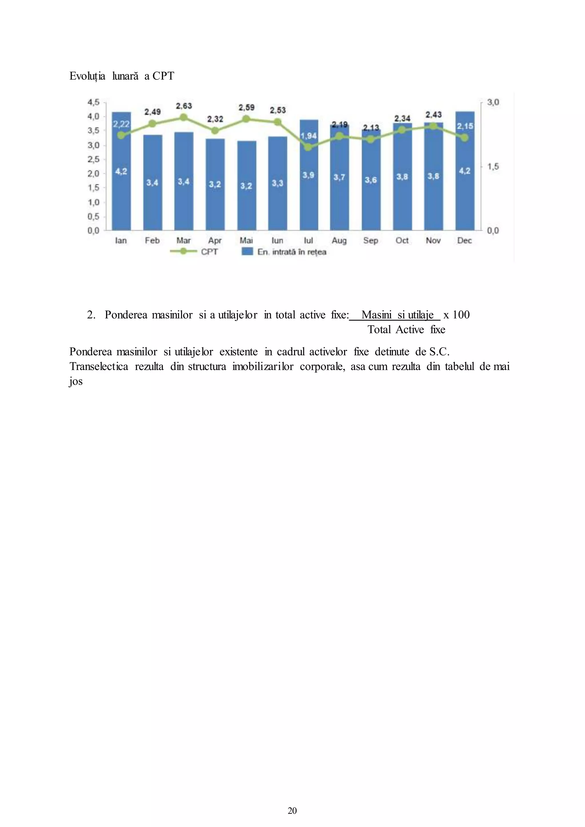 Model Raport de Audit / Model Audit Report | DOCX