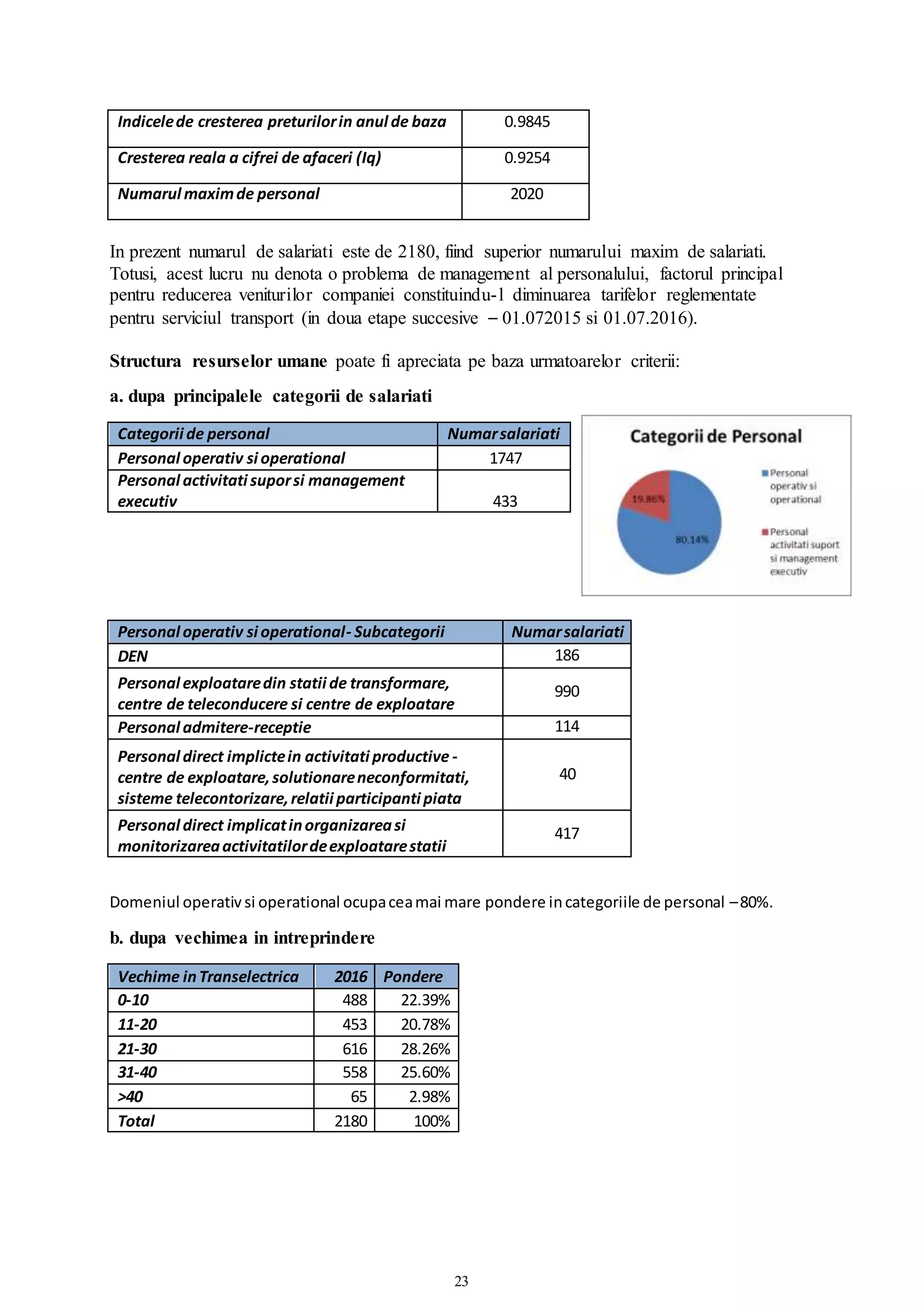 Model Raport de Audit / Model Audit Report | DOCX