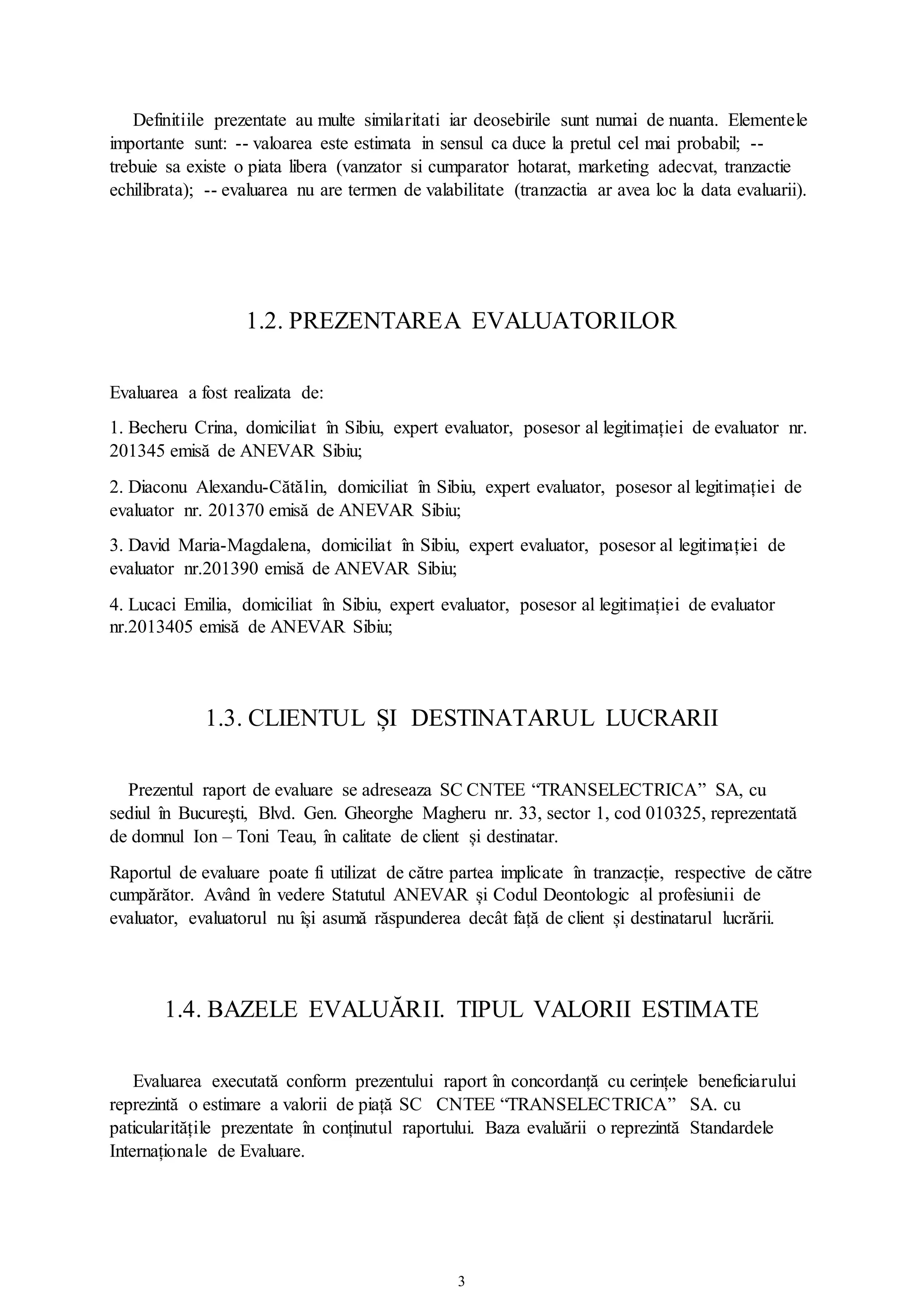 Model Raport de Audit / Model Audit Report | DOCX