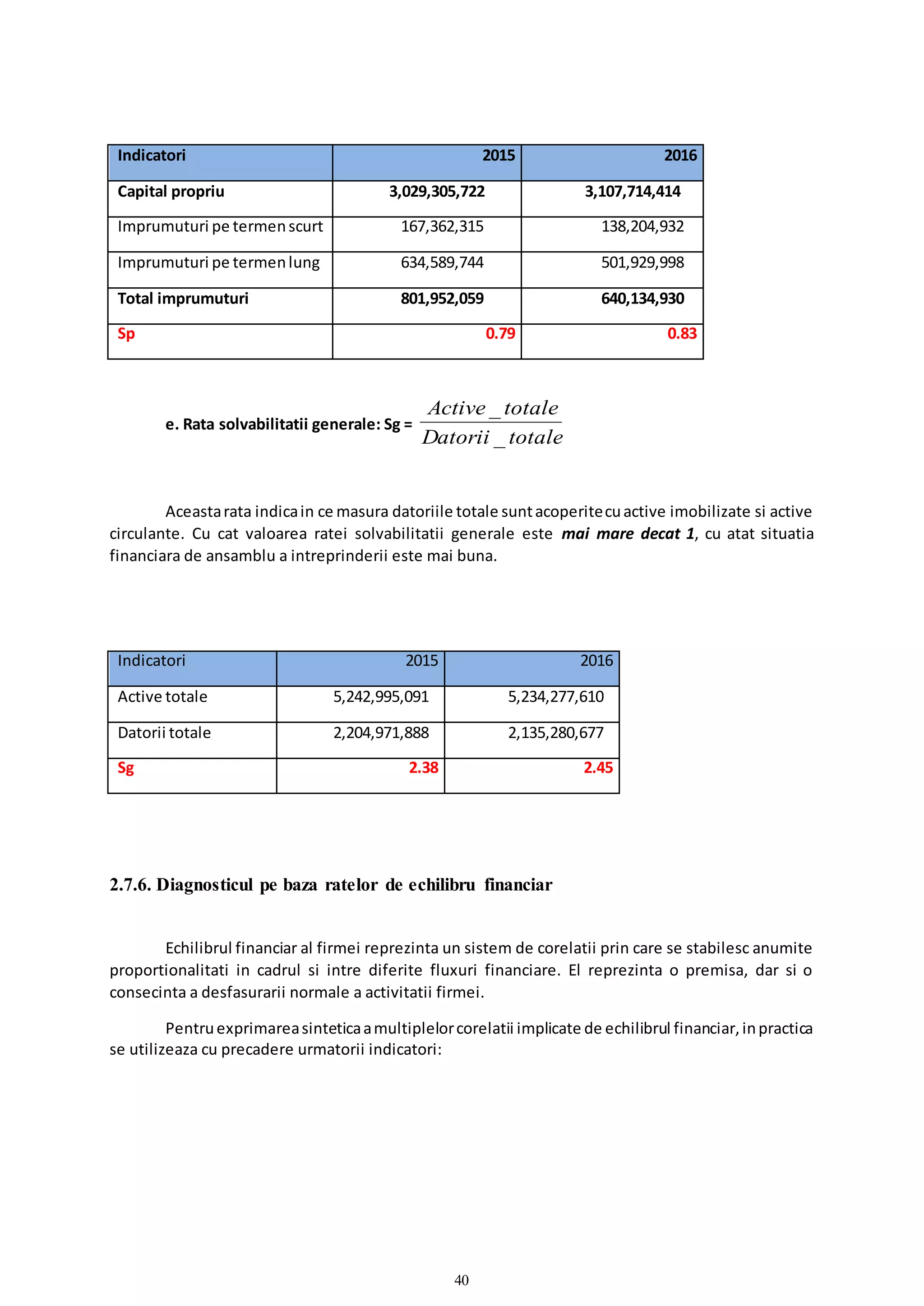 Model Raport de Audit / Model Audit Report | DOCX