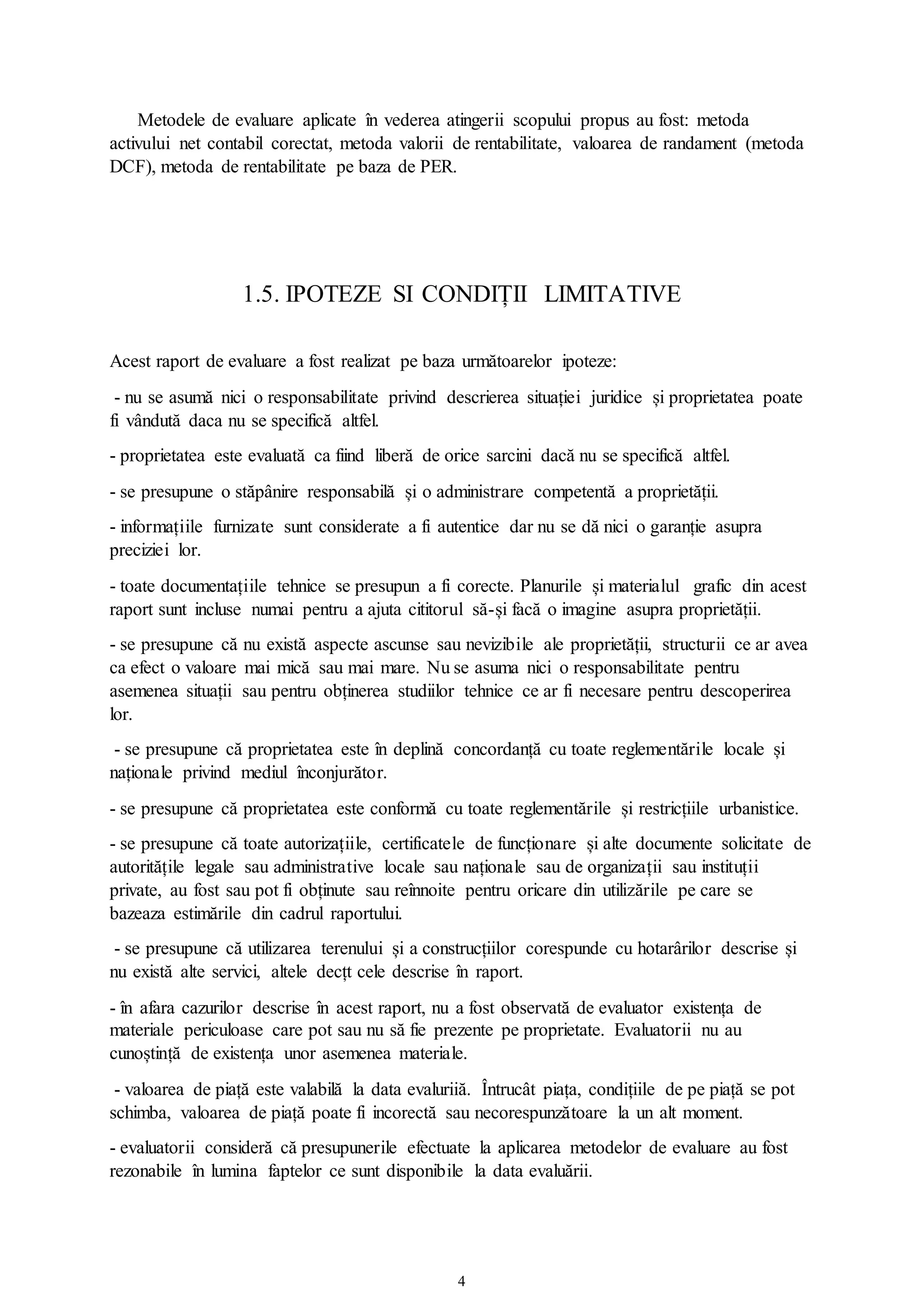 Model Raport de Audit / Model Audit Report | DOCX