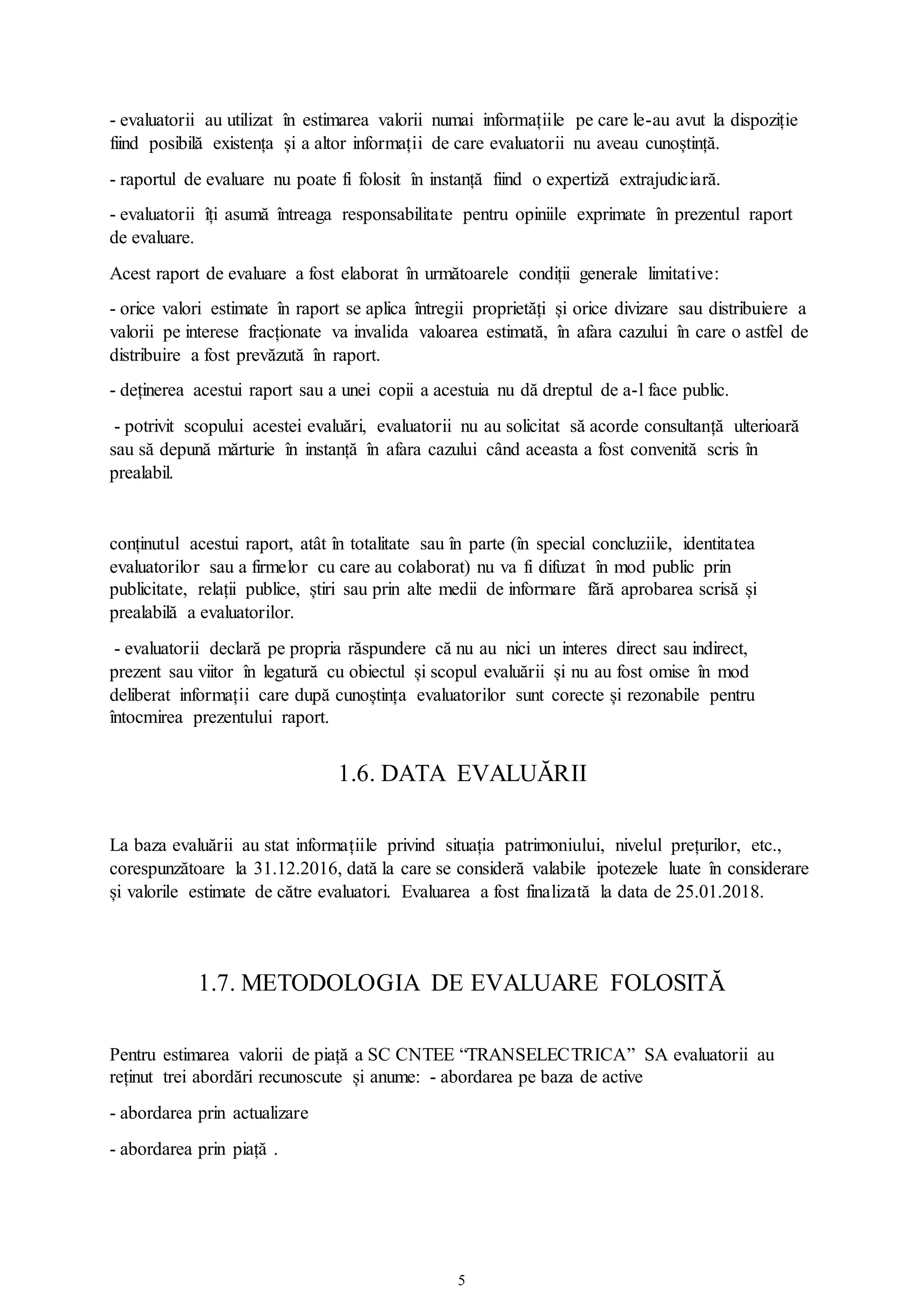 Model Raport de Audit / Model Audit Report | DOCX