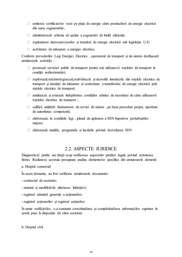 Model Raport de Audit / Model Audit Report | PDF