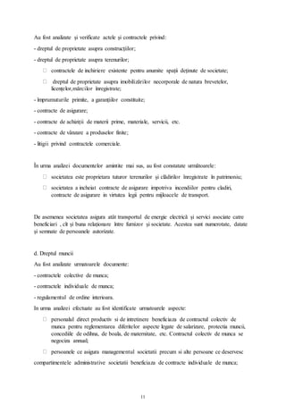 Model Raport de Audit / Model Audit Report | DOCX
