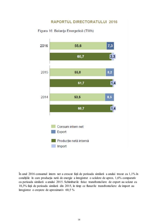 Model Raport de Audit / Model Audit Report | PDF