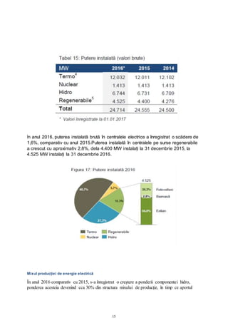 Model Raport de Audit / Model Audit Report | DOCX