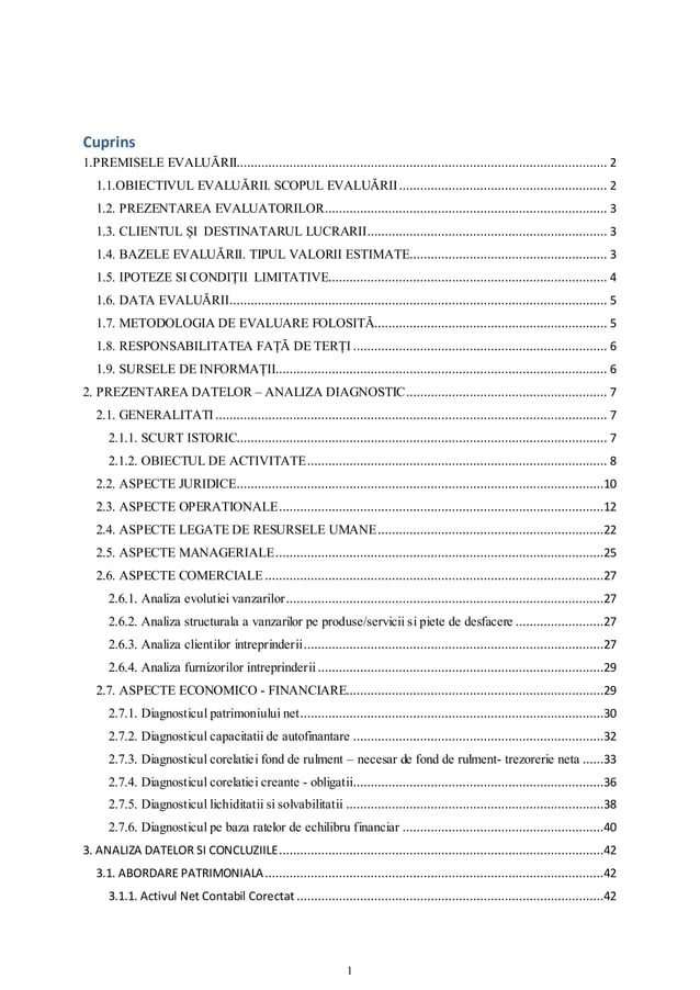 Model Raport de Audit / Model Audit Report | PDF