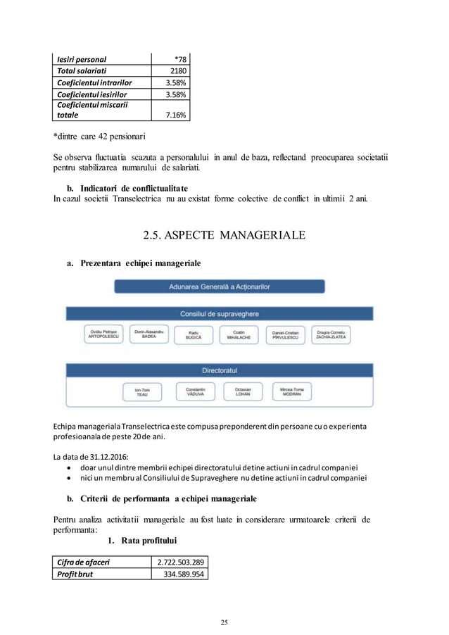 Model Raport de Audit / Model Audit Report | PDF