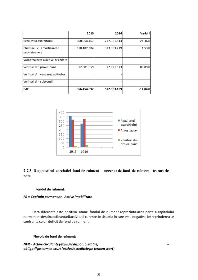 Model Raport de Audit / Model Audit Report | PDF