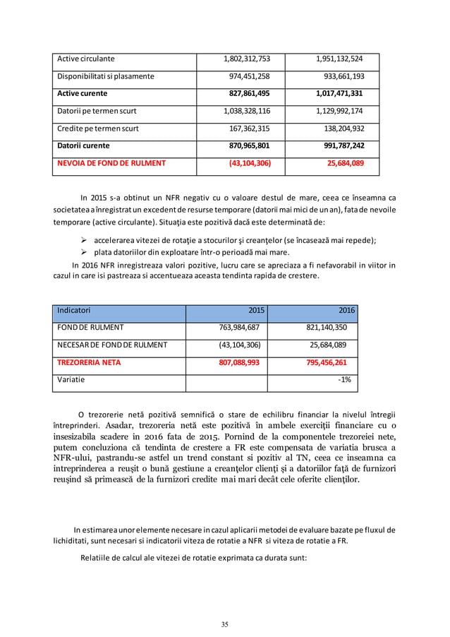 Model Raport de Audit / Model Audit Report | PDF