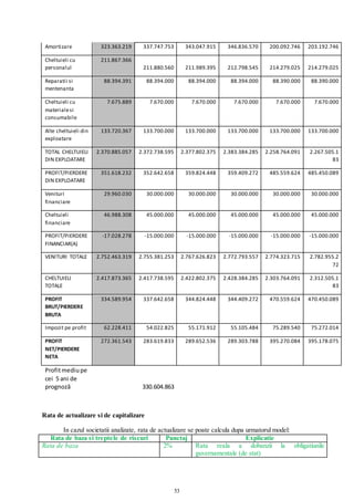 Model Raport de Audit / Model Audit Report | DOCX