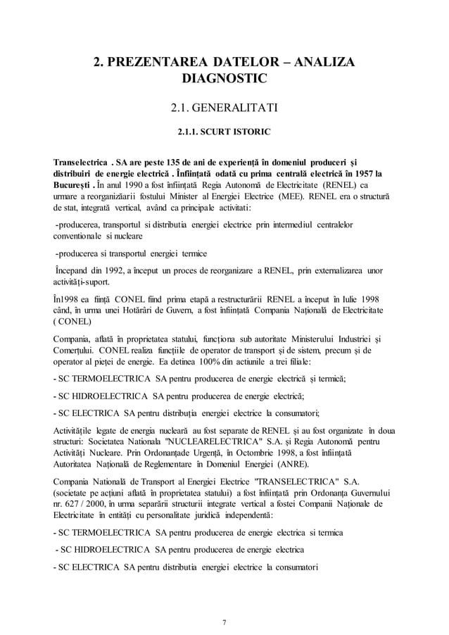 Model Raport de Audit / Model Audit Report | PDF