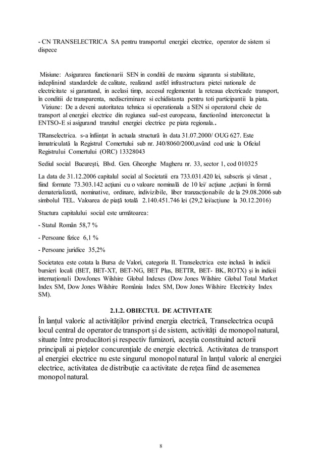 Model Raport de Audit / Model Audit Report | PDF