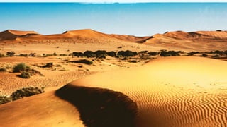 3090987i098664pdf | PPT