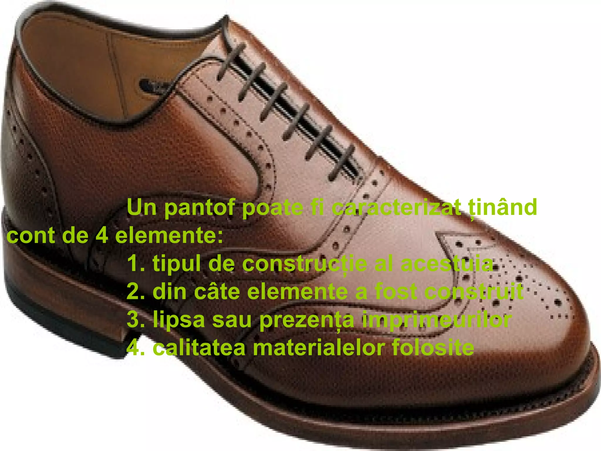 Proiect incaltaminte | PPT