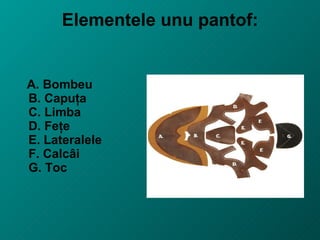 Proiect incaltaminte | PPT