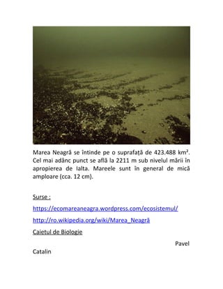 Ecosistemul Marii Negre | RTF