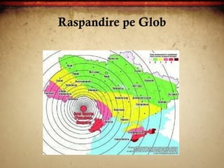 Proiect la geografie | PPT