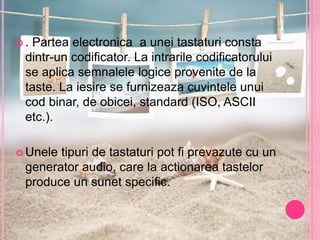 Vizualizatorul si tastatura | PPTX