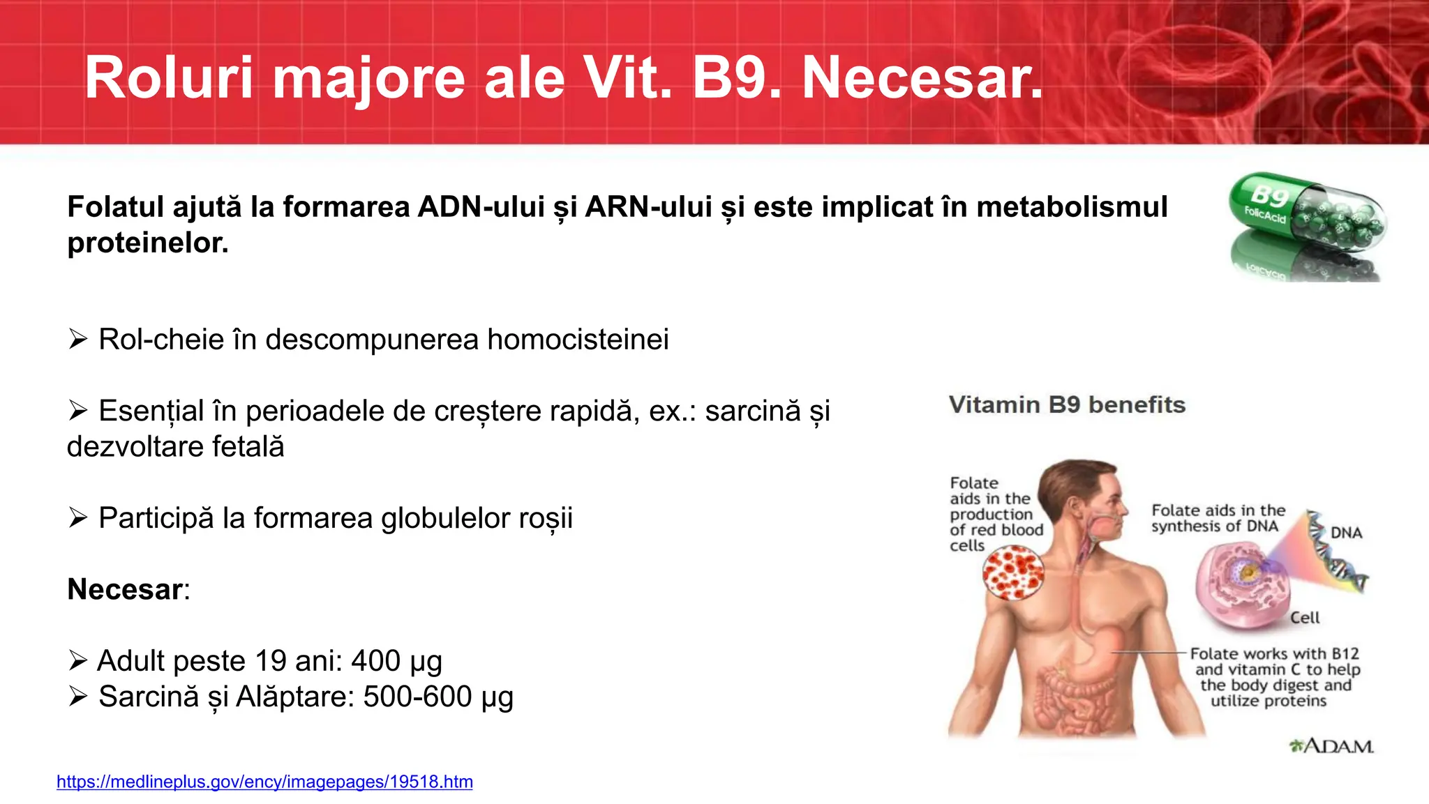 Proiect MCS UMFCD Anemia Megaloblastica.pptx