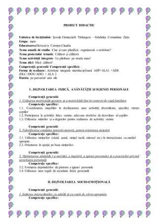 Proiect mijloace de transport cu chenar | DOCX