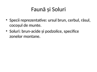 Proiect_Muntii_Carpati_Colorat_Modern.pptx