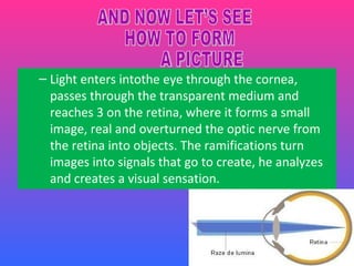 P roiect ochiul dogariu cerasela | PPT