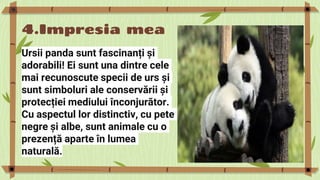 proiectul_pentru_ursul_panda_sabina.pptx