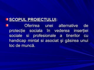 Proiect pilot tineri cu dizabilitati | PPT