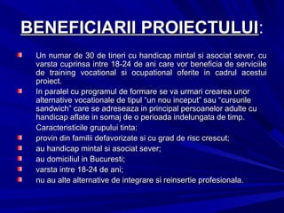 Proiect pilot tineri cu dizabilitati | PPT